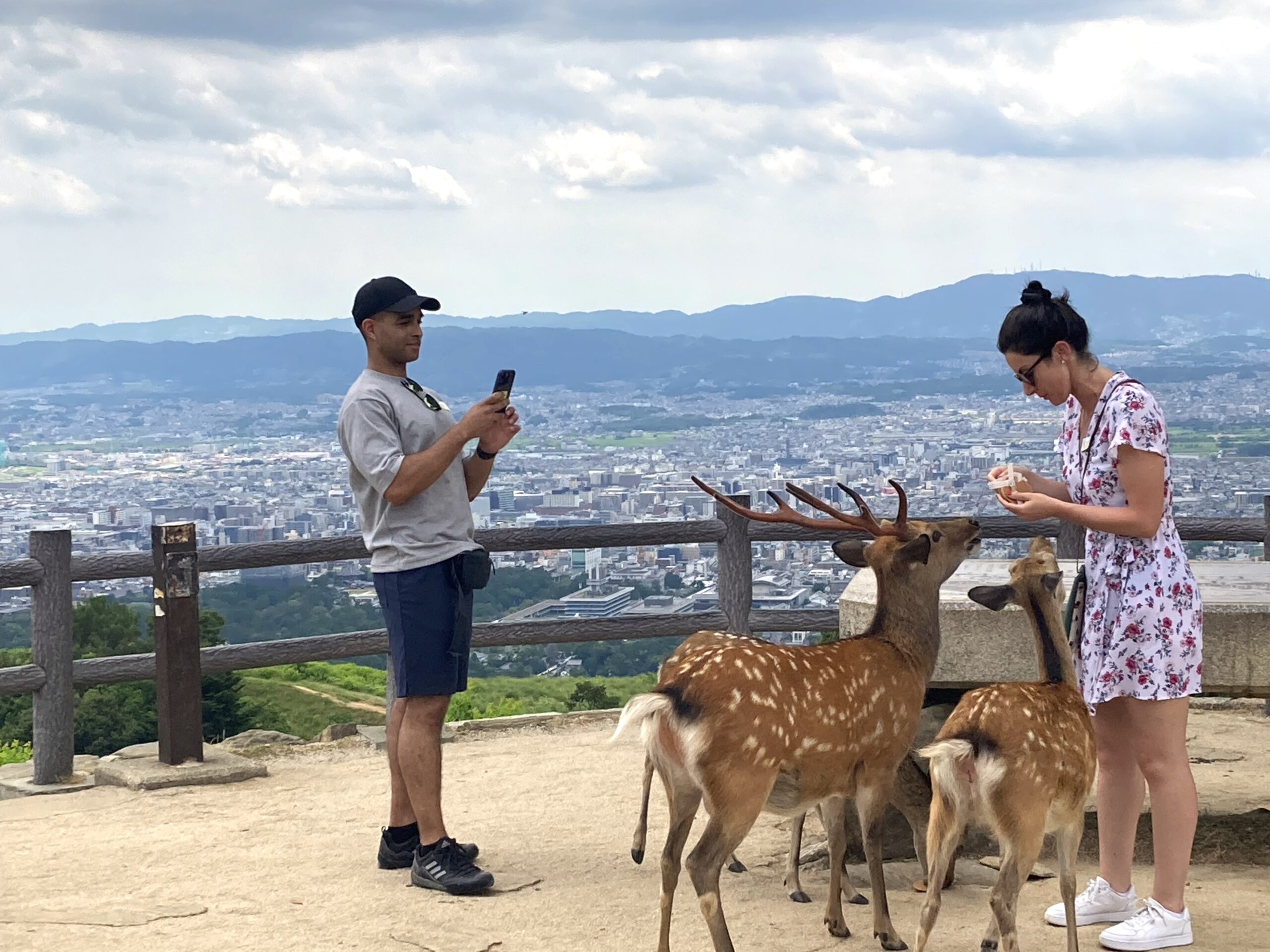 Perfect Nara Park Tour | Half-Day Sightseeing Bus